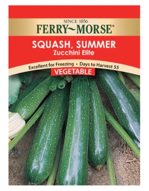 SQUASH ZUCCHINI ELITE - Antigua Home & Garden Centre